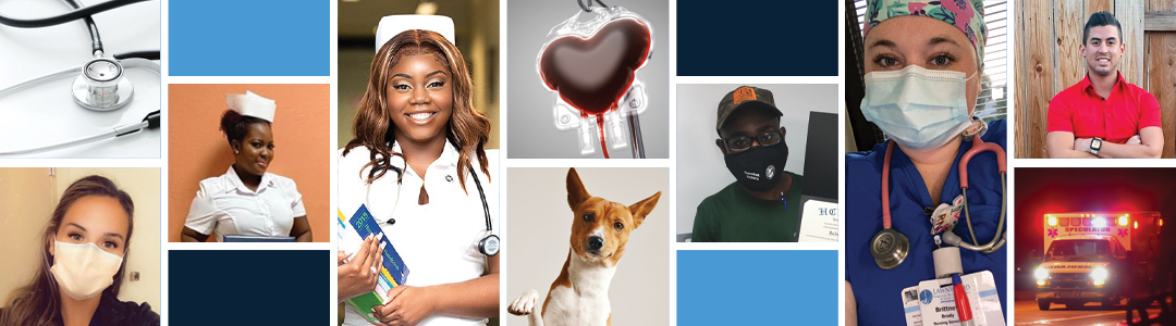 Testimonials - HCI College