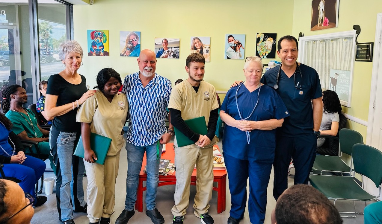 Testimonials - HCI College