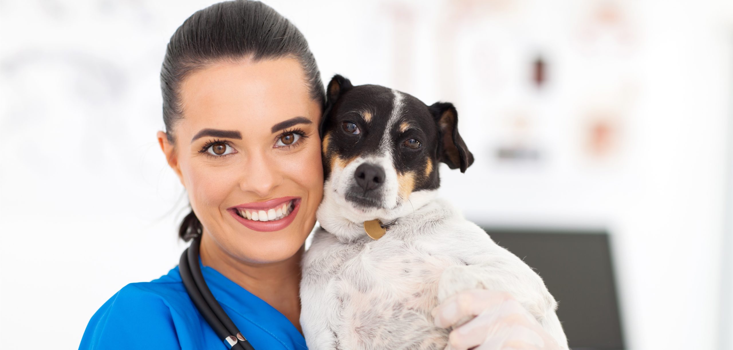 The Top Skills You Need to Excel as a Veterinary Assistant - HCI College
