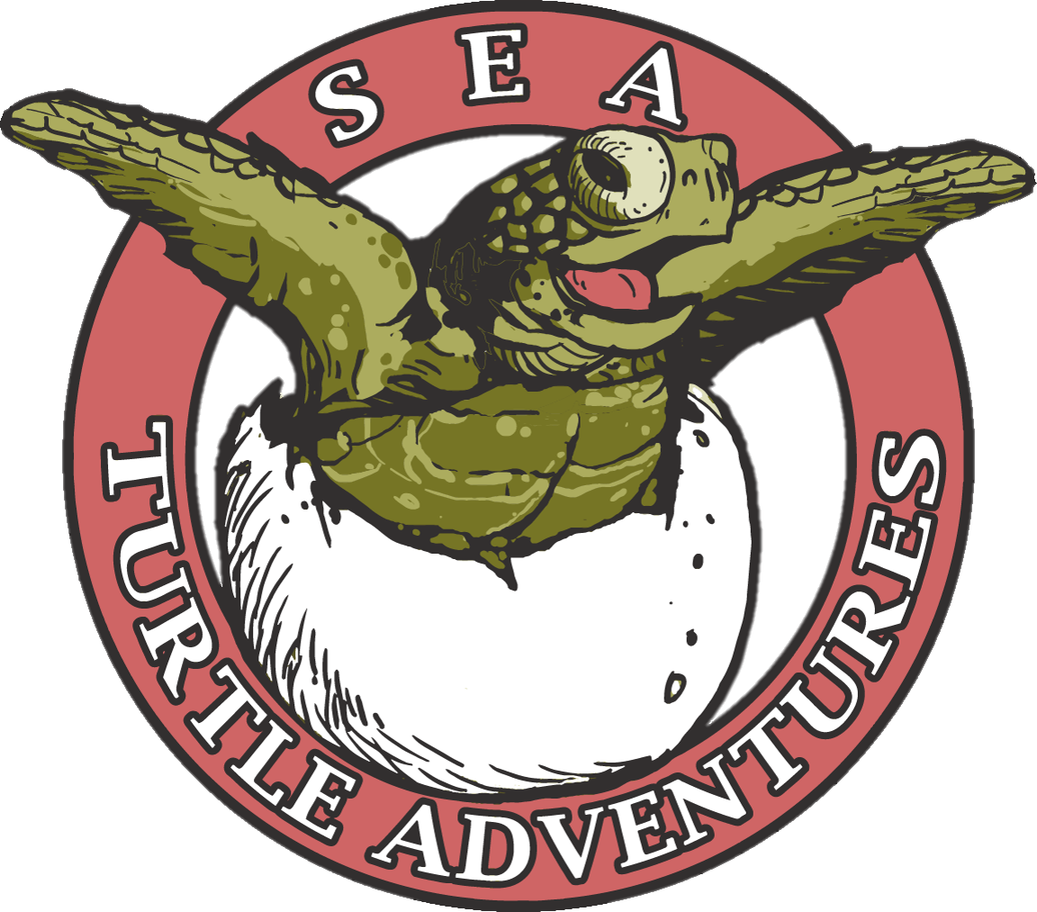 Partnerships and Affiliations - HCI College